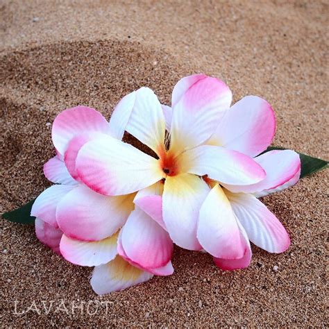 Hawaiian Flowers In Hair Meaning At Michael Hooton Blog