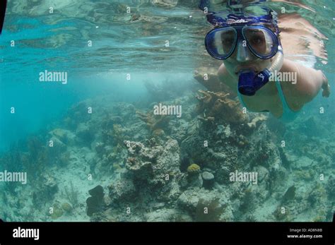 Snorkeling At Underwater Trail At St John Island National Marine Park