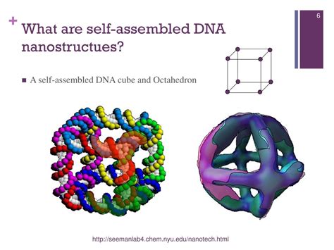 Ppt Design Strategies For Dna Nanostructures Powerpoint Presentation Id5236930