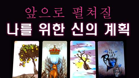 타로 신이 계획한 앞으로 펼쳐질 나의 모습🌈 Youtube