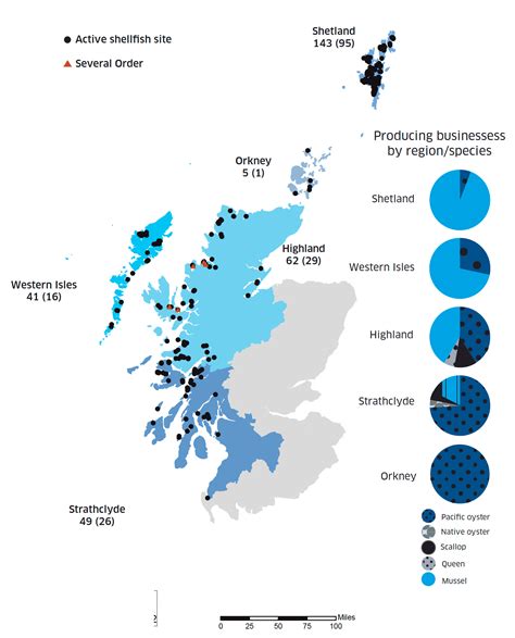 Businesses And Sites Scottish Shellfish Farm Production Survey 2022