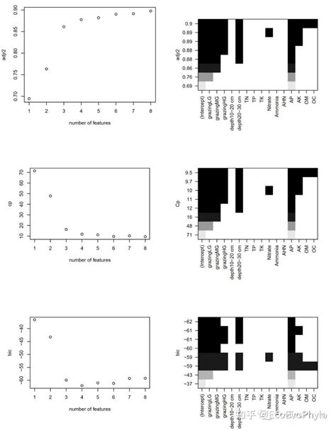 R统计绘图 多元线性回归 最优子集法特征筛选及模型构建，leaps 知乎
