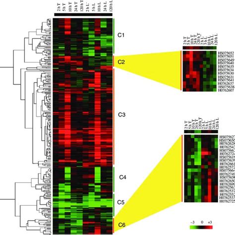 cluster analyses of expressed sequence e tags ests significantly