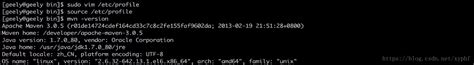 4、linux下maven项目构建与管理工具 linux maven csdn博客