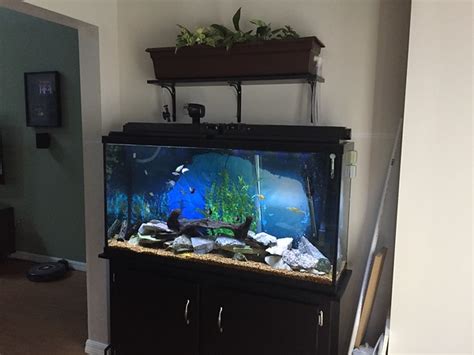 Aquaponic Overhead Sump Filter Aquarium Advice Forum Community