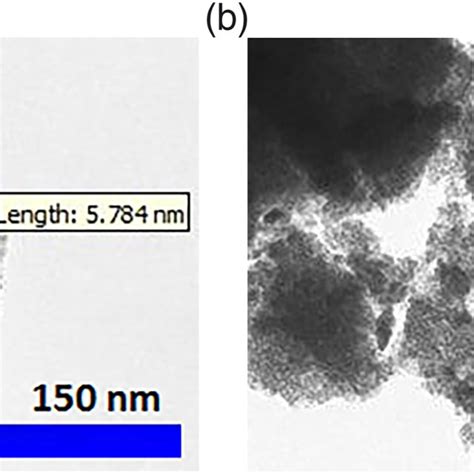 The Transmission Electron Microscopy Tem Image Of Fe3o4 Wss I Download Scientific Diagram