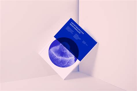 Cryptococcus Neoformans Behance