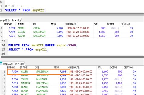 Maria Db Update Delete
