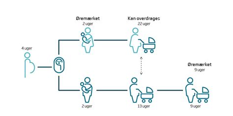 Nye Barselsregler For Selvstændige