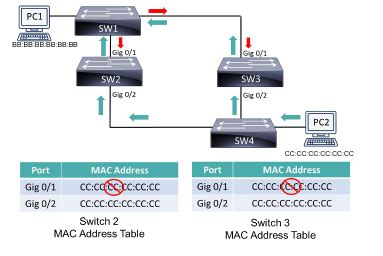 Spanning Tree Protocol Flashcards Quizlet