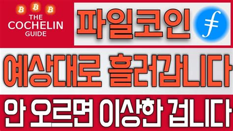 파일코인 긴급속보 예상대로 흘러가네요 안 오르면 이상한 겁니다 파일코인전망 파일코인분석 파일코인호재 파일코인 Youtube
