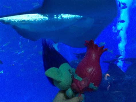 Poppy And Branch Share A Memorable Kiss Underneath The Biggest Manta