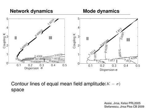 Ppt Large Scale Models Of The Brain Powerpoint Presentation Free Download Id2061467