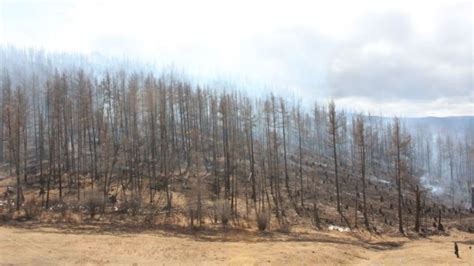 ХУУРАЙШИЛТЫН ЗЭРЭГЛЭЛ ӨНДӨР БАЙГАА ТУЛ ОЙ ХЭЭРИЙН ТҮЙМРЭЭС СЭРГИЙЛЬЕ