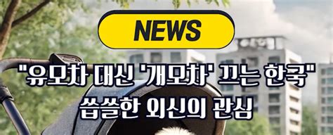 르데스크 [국제숏]“유모차 대신 ‘개모차 끄는 한국” 씁쓸한 외신의 관심