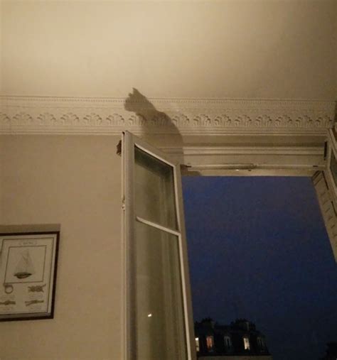 184 Incredible Shadows That Will Make You Look Twice Bored Panda
