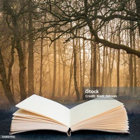 흐릿한 태양광선이 있는 레이크 디스트릭트의 숲속의 아름다운 풍경 이미지와 고요한 물에 반사된 나무 뒤에 빛난다 0명에 대한 스톡 사진 및 기타 이미지 Istock