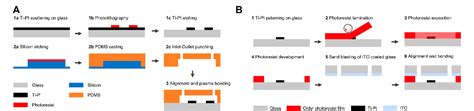 Dielectrophoretic Traps For Efficient Bead And Cell Trapping And Formation Of Aggregates Of