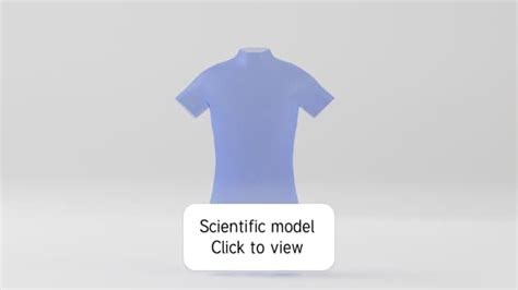 3d Model Human Body Male Reproductive System Twinkl