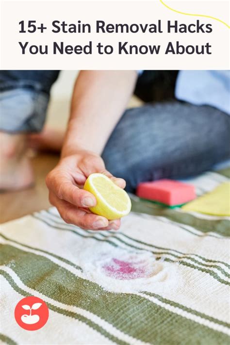 18 Stain Removal Hacks You Need To Know About Stain Remover Hacks Stain