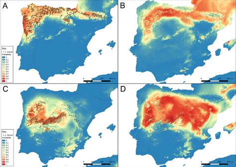 Species Distribution Modelling Maps For The Distribution Of L Tityrus