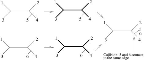 SCM On Compatible Trees Without Collision Download Scientific Diagram