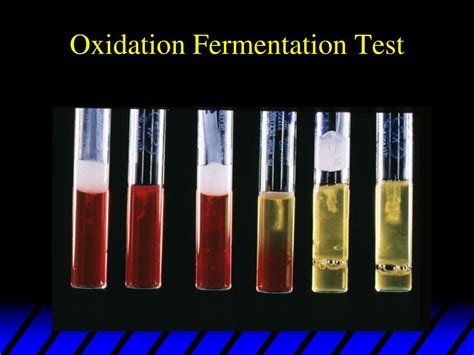 Oxidation Fermentation Test
