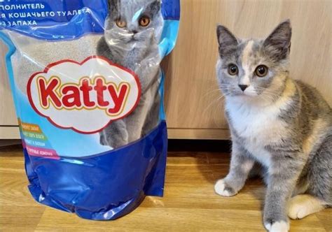 Наполнители Katty: комкующийся наполнитель для кошачьего туалета и ...