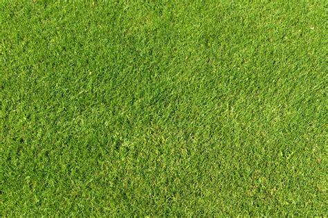 Green Grass Texture Texture Background Pattern Pinterest