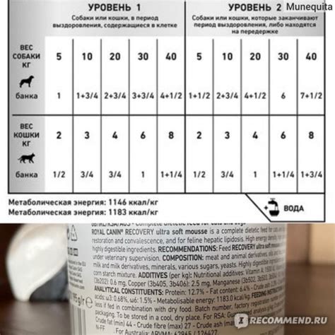 Royal canin Recovery - «Борьба с рмж у кошки и корм для восстановления ...