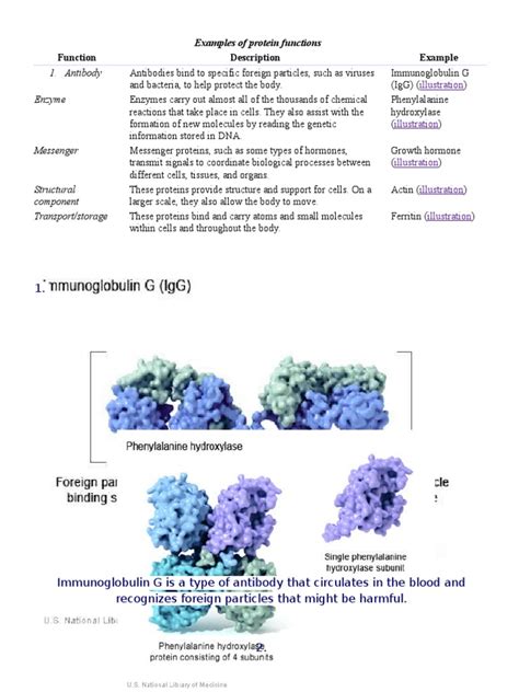 PDF Protein Functions DOKUMEN TIPS