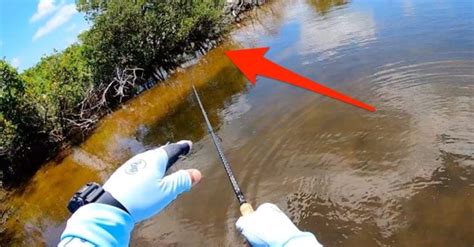 How To Prevent Lures From Getting Snagged In Trees