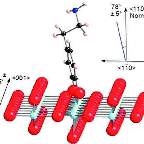 Pdf The Chemistry Behind Catechol Based Adhesion