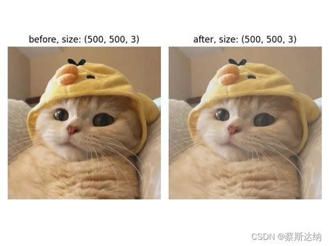 图像增强库albumentationsv130 20235中所有图像增强方法记录（class） Csdn博客