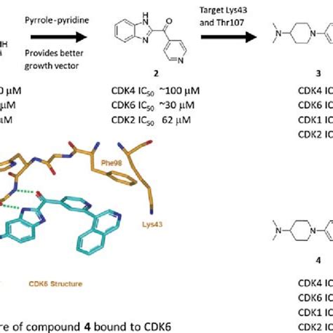 3 structure based optimization of a fragment hit download scientific