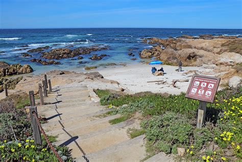 The Best Things To Do In Beautiful Pacific Grove