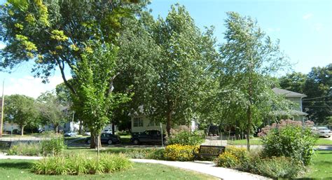 Get Involved — Northside Neighborhood Association