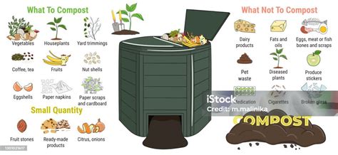 스크랩정원 퇴비화 빈의 인포그래픽 퇴비할 것이나 그렇지 않을 수 있습니다 음식은 낭비되지 않습니다 유기 폐기물 퇴비 재활용 지속 가능한 생활 제로 폐기물 개념 퇴비에 대한