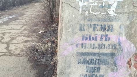 Гатчина. "Время быть сильным! Алкоголь слабых!". Надпись на стене. 26. ...