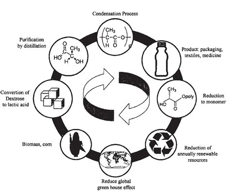 Life Cycle For Polylactide Polymers Adapted From