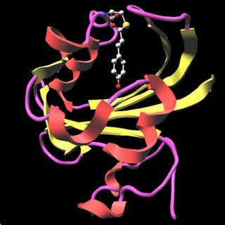 An Overview Of PYP Download Scientific Diagram