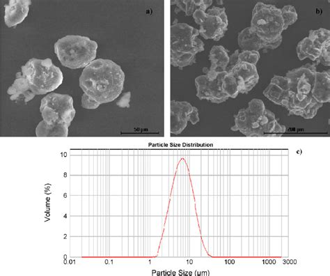Sem Micrograph Of A Dried Whey Granular B Dried Whey Granule