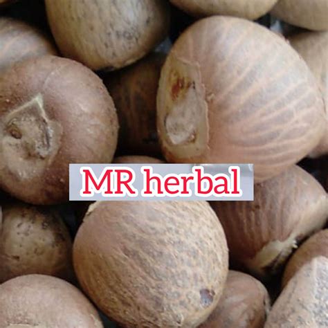 Biji Buah Pinang Tua Kering Atau Biji Buah Jambe Per 500 Gram Lazada Indonesia