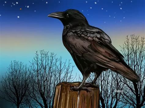 Trilogy Art Group Holds New Multi Artist Exhibit At Nipomo Library