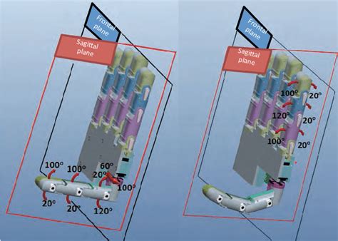 Range Of Motion For The Joints Of The Thumb And The Fingers Download Scientific Diagram