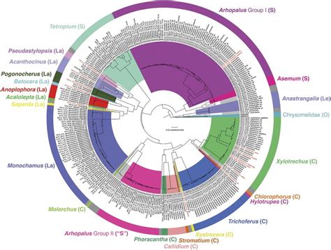 The Bayesian Tree Of Intercepted Cerambycids Based On Coi Barcodes