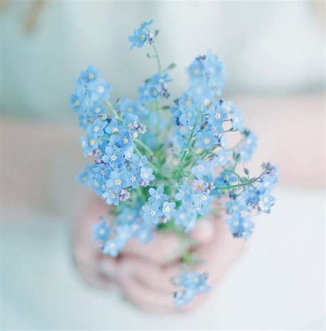 Bbc Burmese Bbc Burmese Added A New Photo