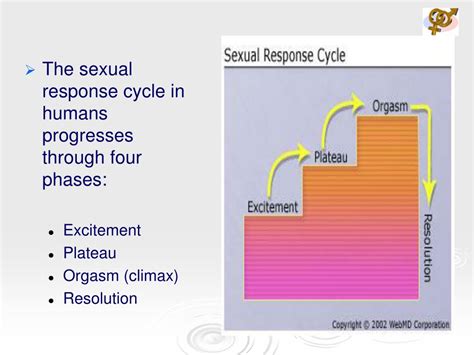 PPT The Human Sexual Response PowerPoint Presentation Free Download ID