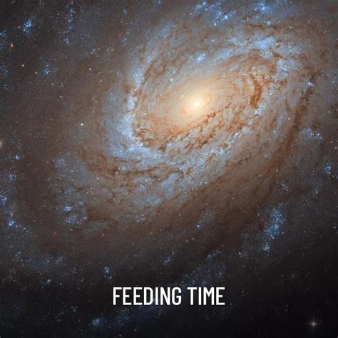 ფიზიკა ტუღუში შენგელია შენგელია ლომიძე Home Facebook