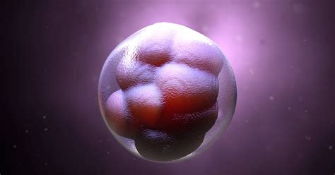 Differences In Sexual Development Endocrine Society